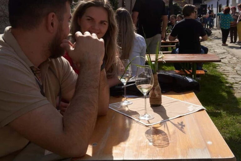 Modra: Private wine tasting guided by winery owner - An Insightful Journey into Slovak Wine and Heritage