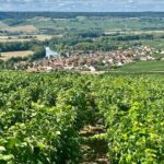Moet et Chandon Pommery Pressoria Champagne Private trip - Some Considerations