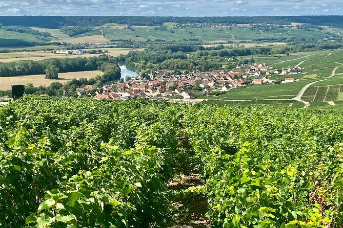 Moet et Chandon Pommery Pressoria Champagne Private trip - Some Considerations
