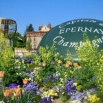 Moet et Chandon Veuve Clicquot Pommery Private Champagne Day trip - Transportation and Timing: What You Need to Know