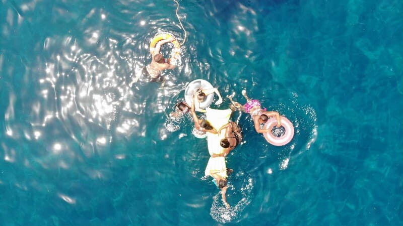 Mogan: Dolphin Watching Boat Trip with Swim Stop - The Experience: Why It Stands Out