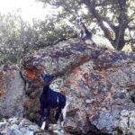 Moitié Terre, Moitié Mer - Why This Tour Offers Great Value