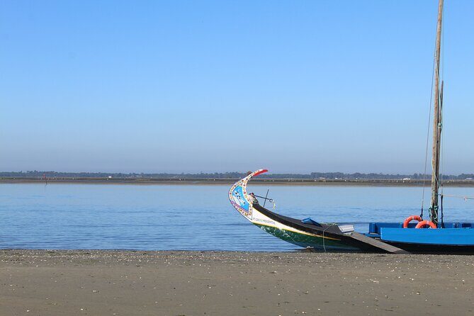 Moliceiro boat trip, with experience in bivalves harvesting - FAQ