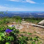 Monchique & Silves: guided day trip - The Experience in Detail: What to Expect