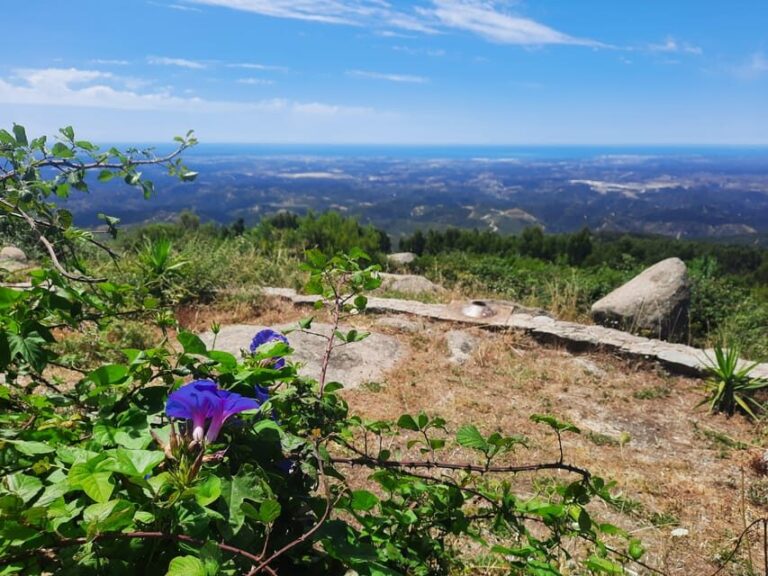 Monchique & Silves: guided day trip - The Experience in Detail: What to Expect