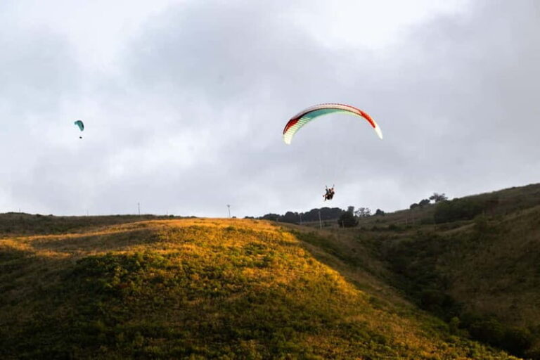 Mondello: Tandem paragliding flight - Why You’ll Love the Experience