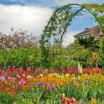 Monets Enchanted Giverny - What You’ll Love About This Tour