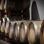 Monferrato: Wine Tour & Picnic in the Vineyards - Deep Dive into the Experience