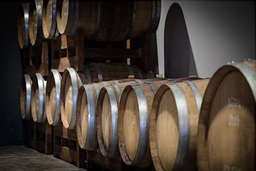 Monferrato: Wine Tour & Picnic in the Vineyards - Deep Dive into the Experience