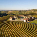 Monforte d'Alba: 7 glasses of Langhe with visit to Winery and Vineyards - What Travelers Can Expect and Why It Matters