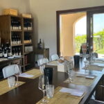 Monforte d'Alba: Wine Tasting, Cellar Visit, and Vineyard Tour - The Vineyard Walk: Land and Legacy