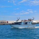 Monopoli: Boat Tour with Swim Stop in the Adriatic Sea - The Allure of Monopoli’s Coastline