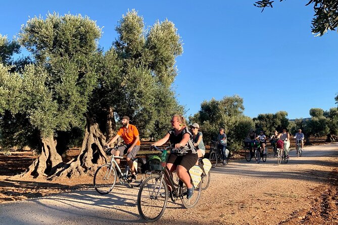 Monopoli's Countryside by Bike - Exploring Monopolis Countryside by Bike: A Balanced, Authentic Adventure