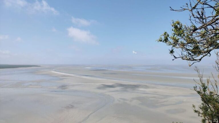 Mont-St-Michel: Small Group Guided Tour with Abbey Ticket - Analyzing the Value