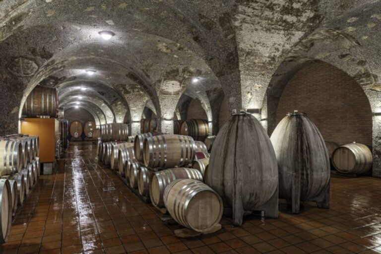 Montalcino: Backstage Brunello & Gourmet Wine-Food Tasting - Why This Tour Works for Travelers