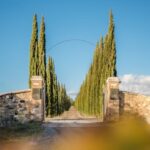 Montalcino: Gourmet Wine & Food Tasting - Who Will Love This Tour?
