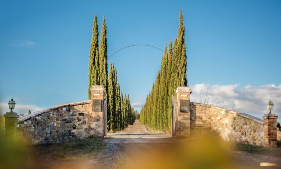 Montalcino: Gourmet Wine & Food Tasting - Who Will Love This Tour?