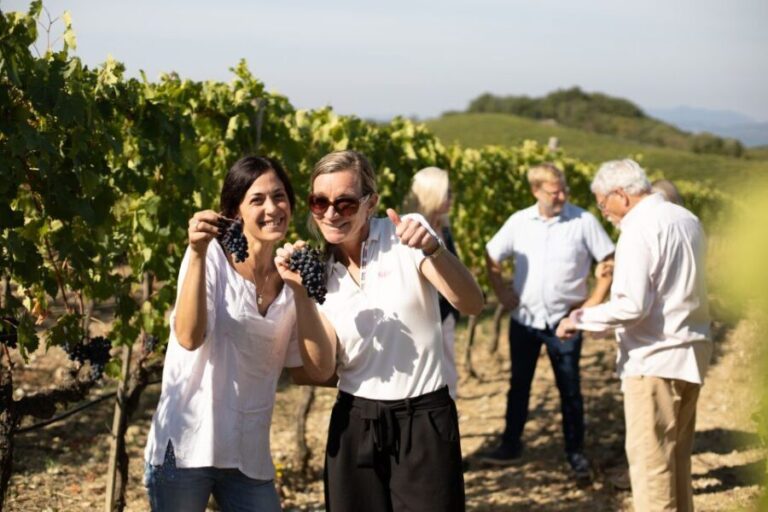Montalcino: Guided Winery Tour and Wine Tasting - The Practical Side: Logistics and Tips