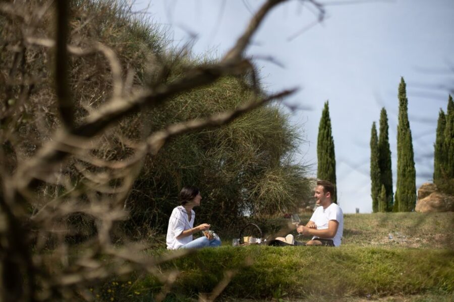 Montalcino: Vineyard Picnic with a Bottle of Wine - FAQs