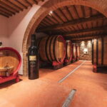 Montalcino: Vinyard Tour with Vertical Brunello Tasting - Who Will Love This Experience?