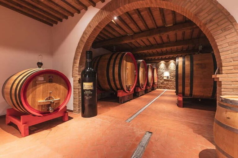 Montalcino: Vinyard Tour with Vertical Brunello Tasting - Who Will Love This Experience?
