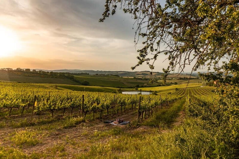 Montalcino: Wine Tasting and Tuscan Lunch - Taste, Sight, and Storytelling: What Makes This Tour Stand Out?