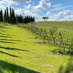MONTALCINO:Privat E-Bike experience discovering Orcia Valley - What Makes This Tour Special?