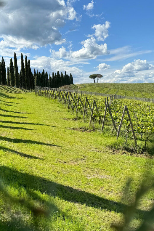MONTALCINO:Privat E-Bike experience discovering Orcia Valley - What Makes This Tour Special?