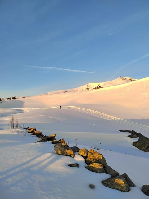 Montecampione 1800m: snowshoeing and winter hiking (daily) - A Detailed Look at the Montecampione Snowshoeing and Hiking Tour