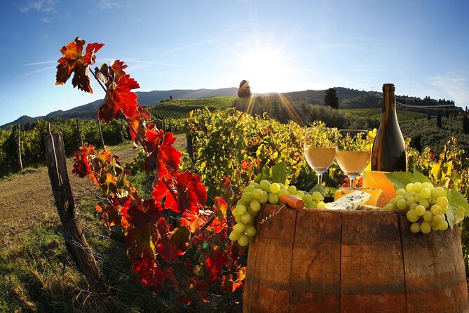 Montecarlo and Wine Tasting from Lucca Private Tour - Introduction