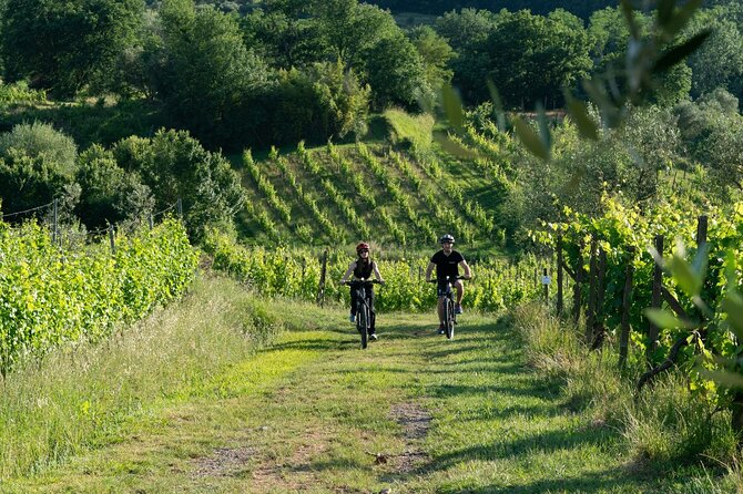 Montecarlo E-Bike One Day Tour with Lunch and Tasting - Exploring the medieval charm of Montecarlo di Lucca