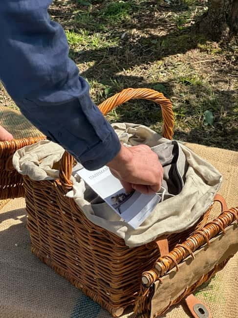 Montecatini Alto: Gourmet picnic among the olive trees with EVO oil pairing - A Deep Dive into the Experience