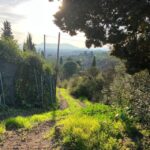 MONTECATINI TERME - E-BIKE ADVENTURE IN VAL DI NIEVOLE - Itinerary Breakdown and Highlights