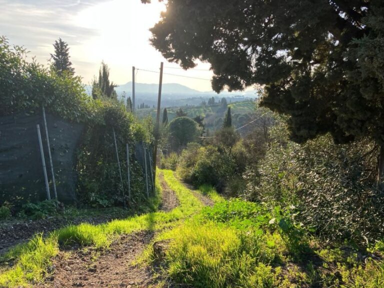 MONTECATINI TERME - E-BIKE ADVENTURE IN VAL DI NIEVOLE - Itinerary Breakdown and Highlights