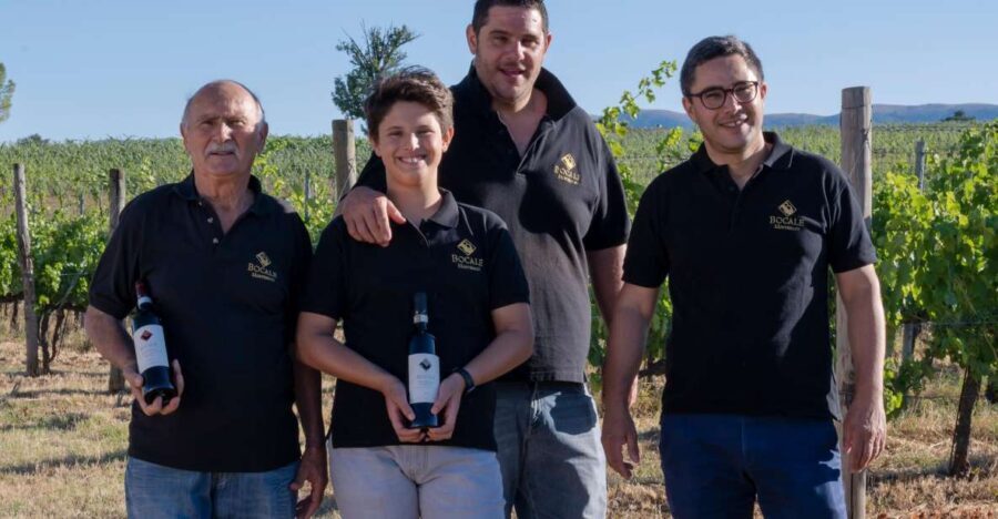 Montefalco: Winery and Vineyard Tour and Private Tasting - What Travelers Are Saying