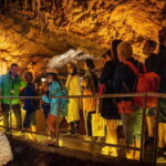 Montenegro: Lipa Cave Guided Tour with Transfer - Key Points