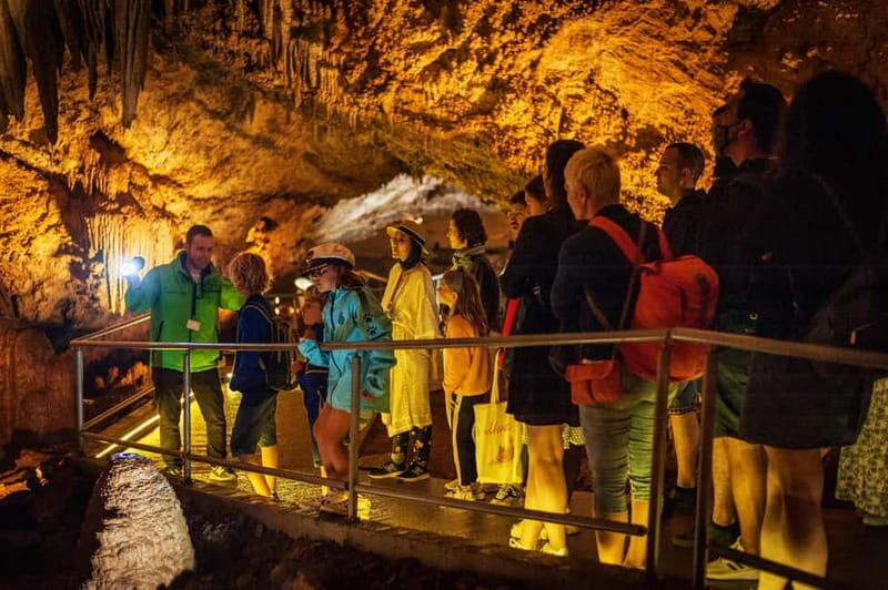 Montenegro: Lipa Cave Guided Tour with Transfer - Key Points