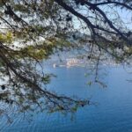 Montenegro Private Tour - Practical Details and Tips