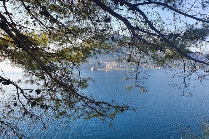 Montenegro Private Tour - Practical Details and Tips
