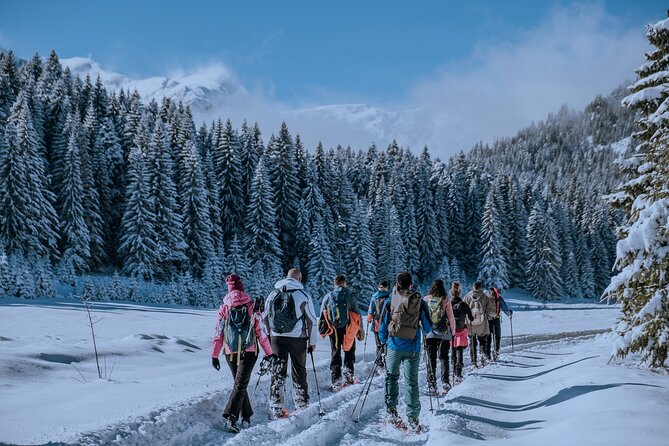 Montenegro Snowshoeing Durmitor - Exploring the Montenegrin Snowshoe Adventure in Durmitor