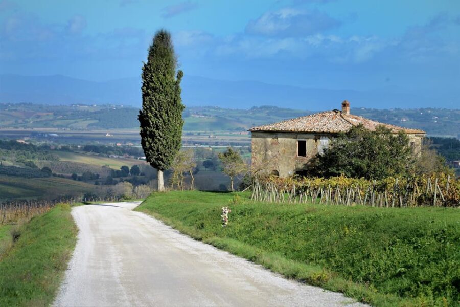 Montepulciano and Pienza: the best of Tuscany! - Who Would Enjoy This Tour?