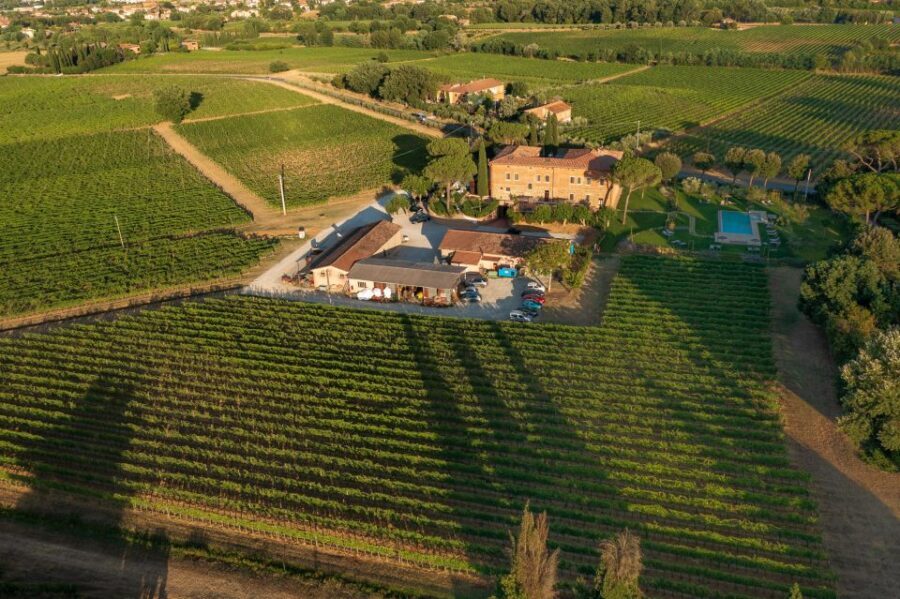 Montepulciano: Guided Winery Tour with Tasting & Appetizers - Practical Details and What to Expect