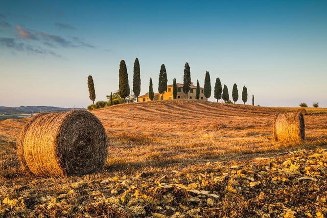 Montepulciano, Montalcino, Pienza from Florence - In-Depth Look at the Itinerary