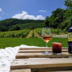 MONTEPULCIANO - PIC NIC WITH WINE! SURROUNDED BY VINEYARDS - Who Is This Tour Perfect For?