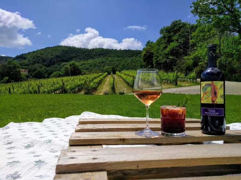 MONTEPULCIANO - PIC NIC WITH WINE! SURROUNDED BY VINEYARDS - Who Is This Tour Perfect For?