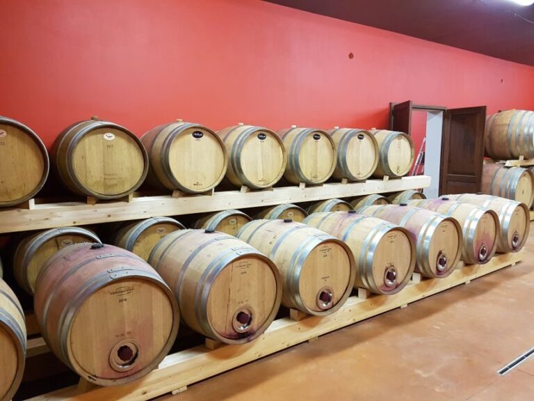 Montepulciano: Tuscan Winery Tour with Wine Tasting & Meal - Authentic Reviews and Insights from Travelers