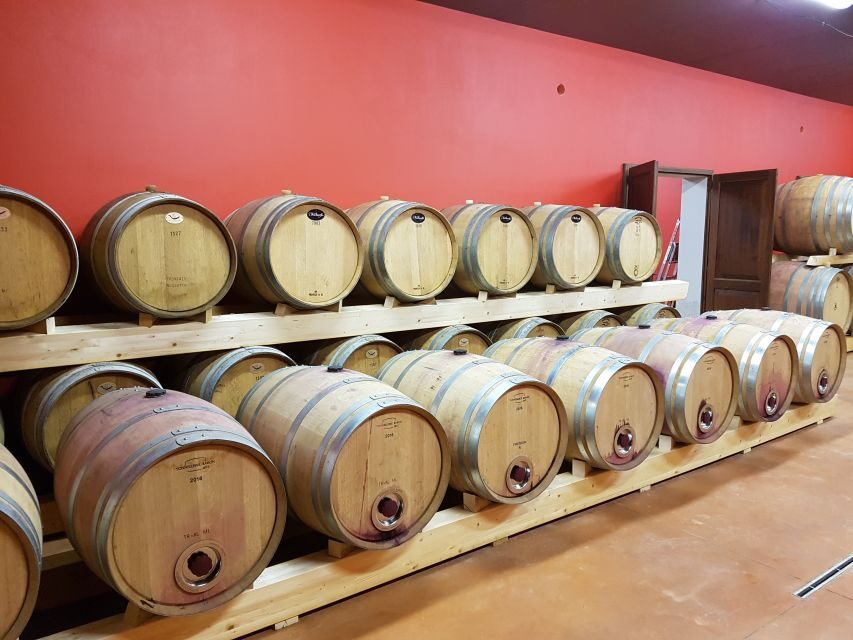 Montepulciano: Tuscan Winery Tour with Wine Tasting & Meal - Authentic Reviews and Insights from Travelers
