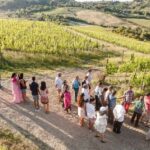 Montepulciano: Vino Nobile Wine Tour  Meet the Producers - The Sum Up