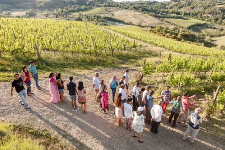 Montepulciano: Vino Nobile Wine Tour  Meet the Producers - The Sum Up