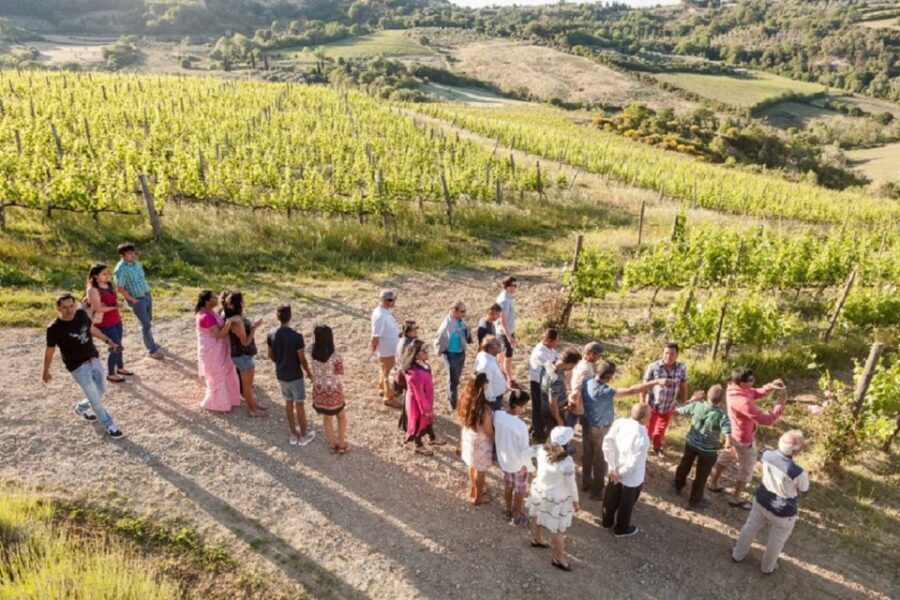 Montepulciano: Vino Nobile Wine Tour  Meet the Producers - The Sum Up